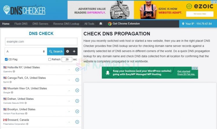 Apa itu DNS? Pengertian, Fungsi, Cara Kerja, dan Contohnya