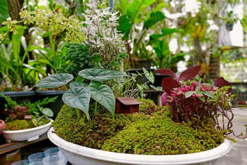 15 Ide Jualan Online Modal Kecil dan Menguntungkan